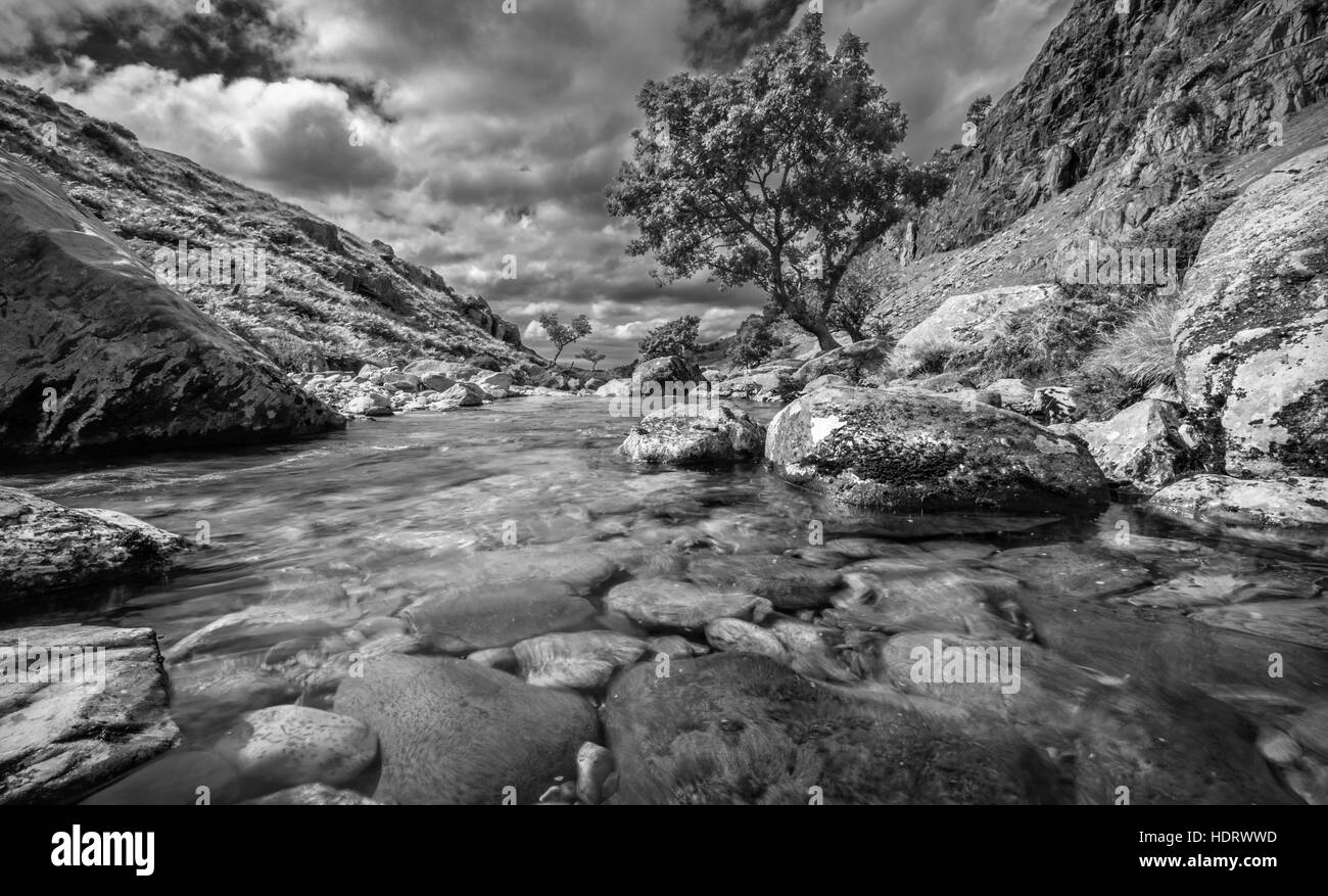 Mountain spring Black and White Stock Photos & Images - Alamy