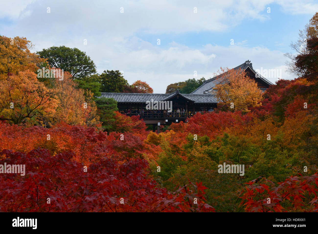 Of tofukuji temple in kyoto hi-res stock photography and images - Alamy