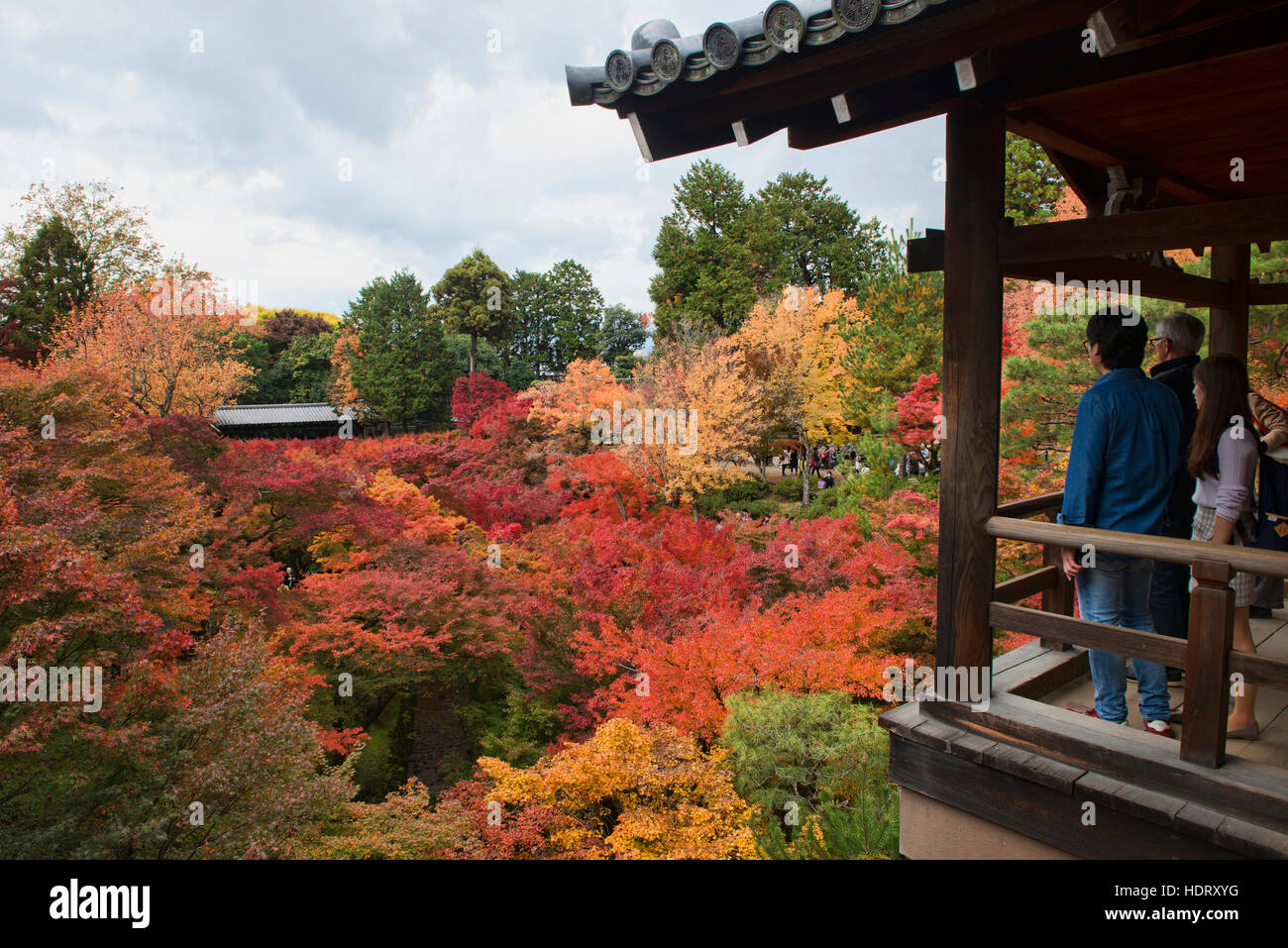 Tourists enjoying autumn colors at Tofuku-ji Temple, Kyoto, Japan Stock ...