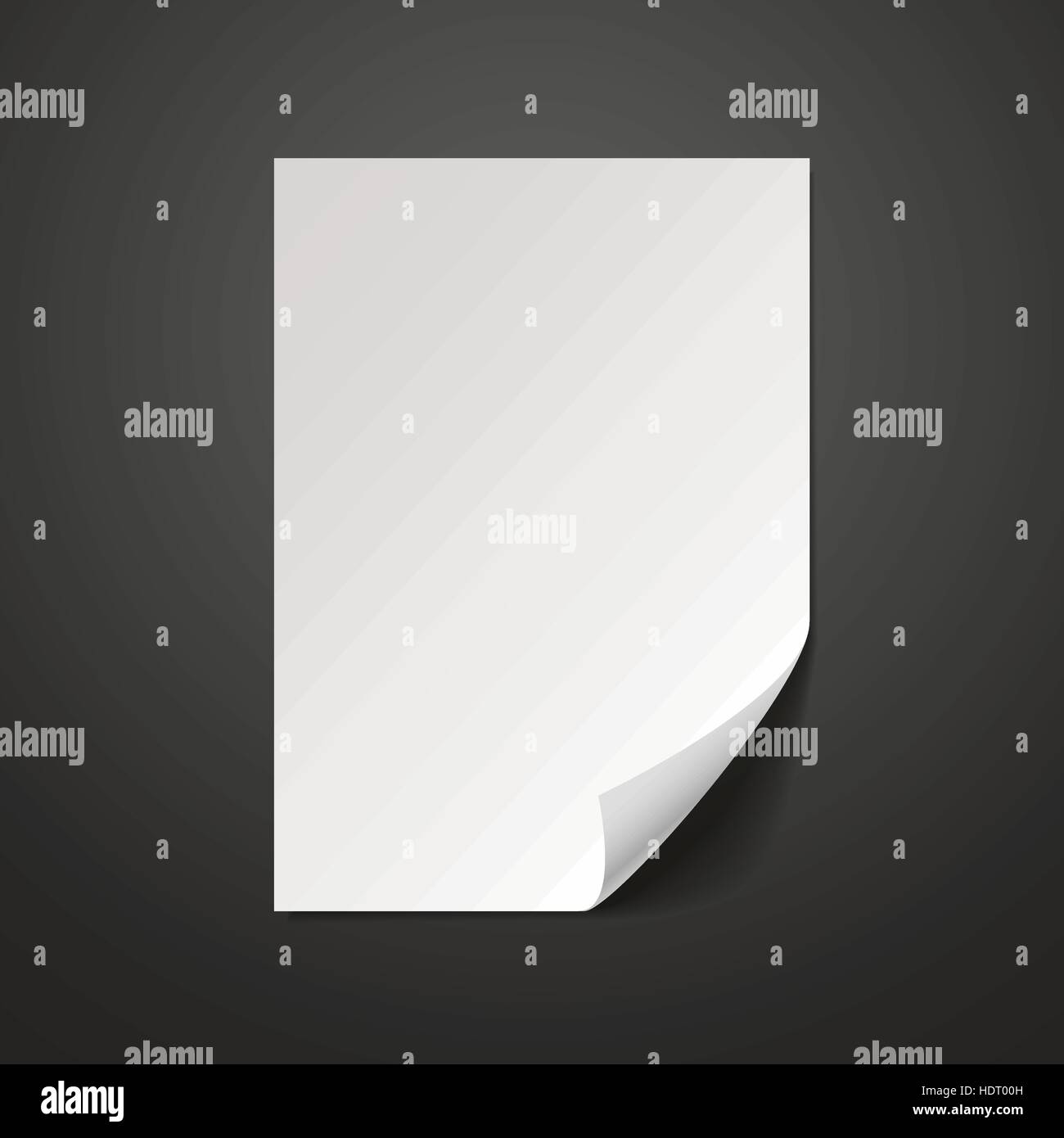 blank sheet of paper with page curl isolated on black Stock Vector ...