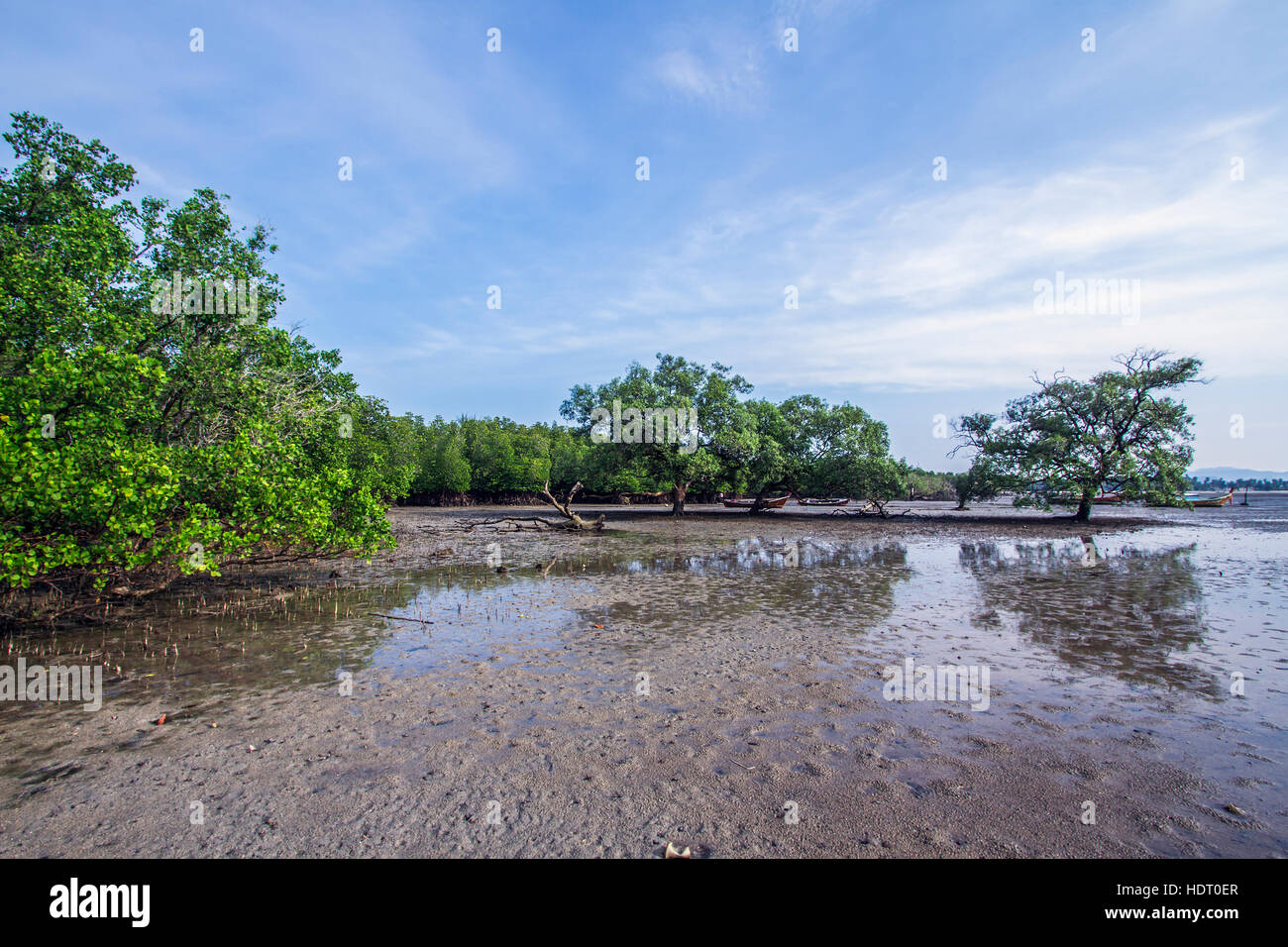 Koh Muk island beach, Thailand Stock Photo - Alamy