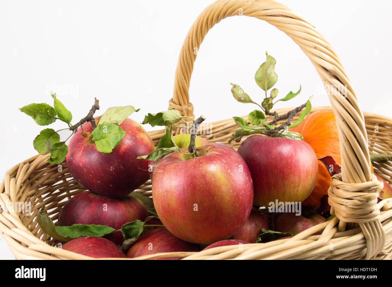 Harvesting ripe red apples basket hi-res stock photography and images ...