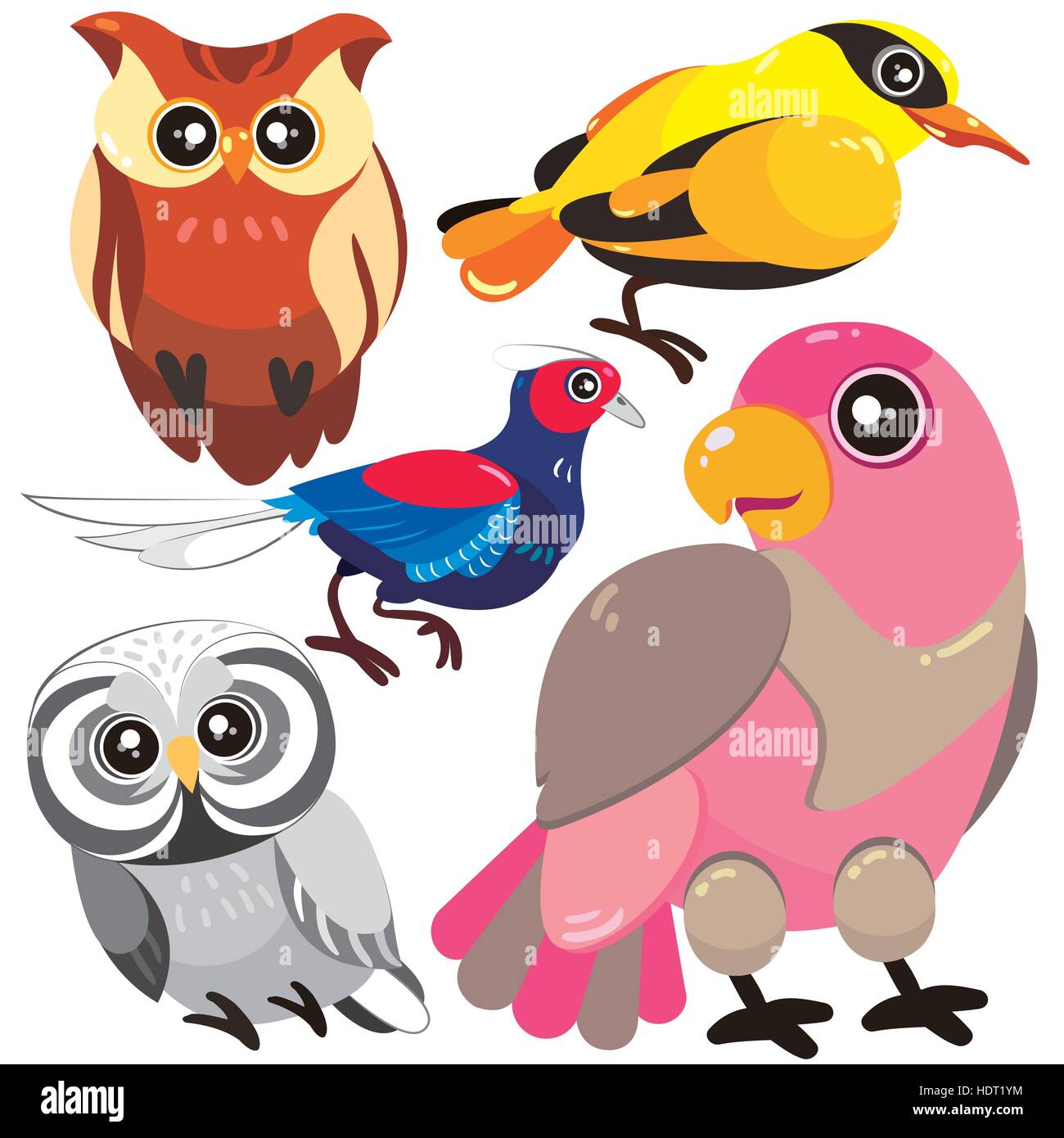 five cute birds set on white background Stock Vector Image & Art - Alamy