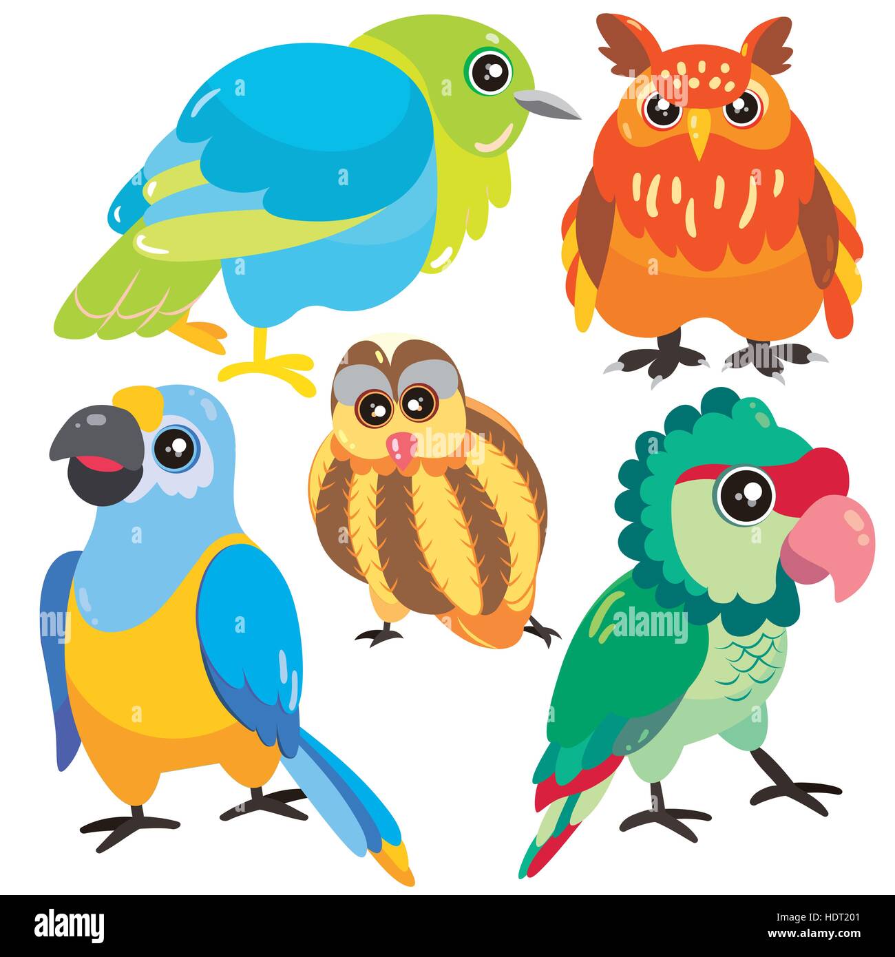five cute birds set on white background Stock Vector Image & Art - Alamy