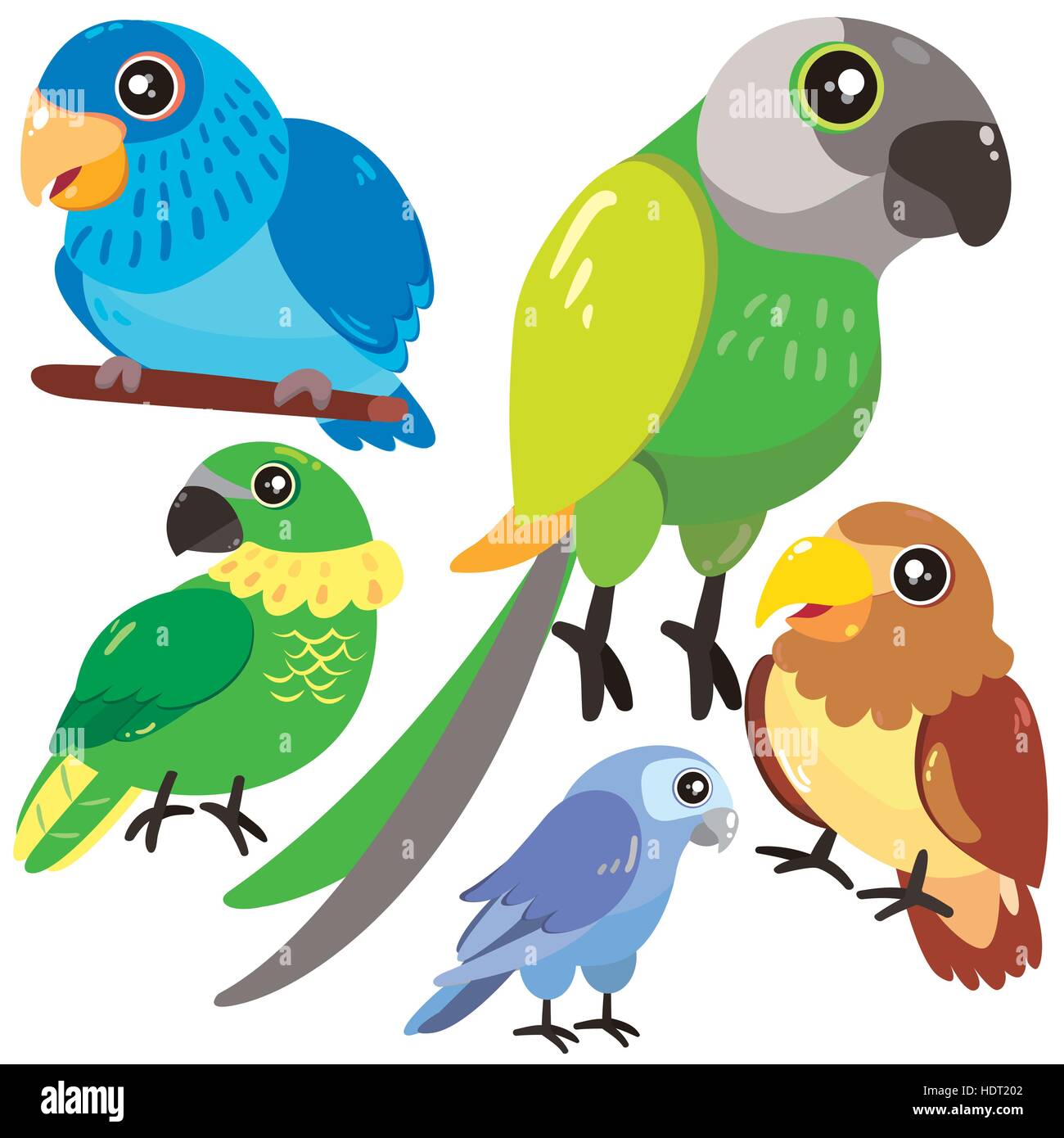 five cute birds set on white background Stock Vector Image & Art - Alamy