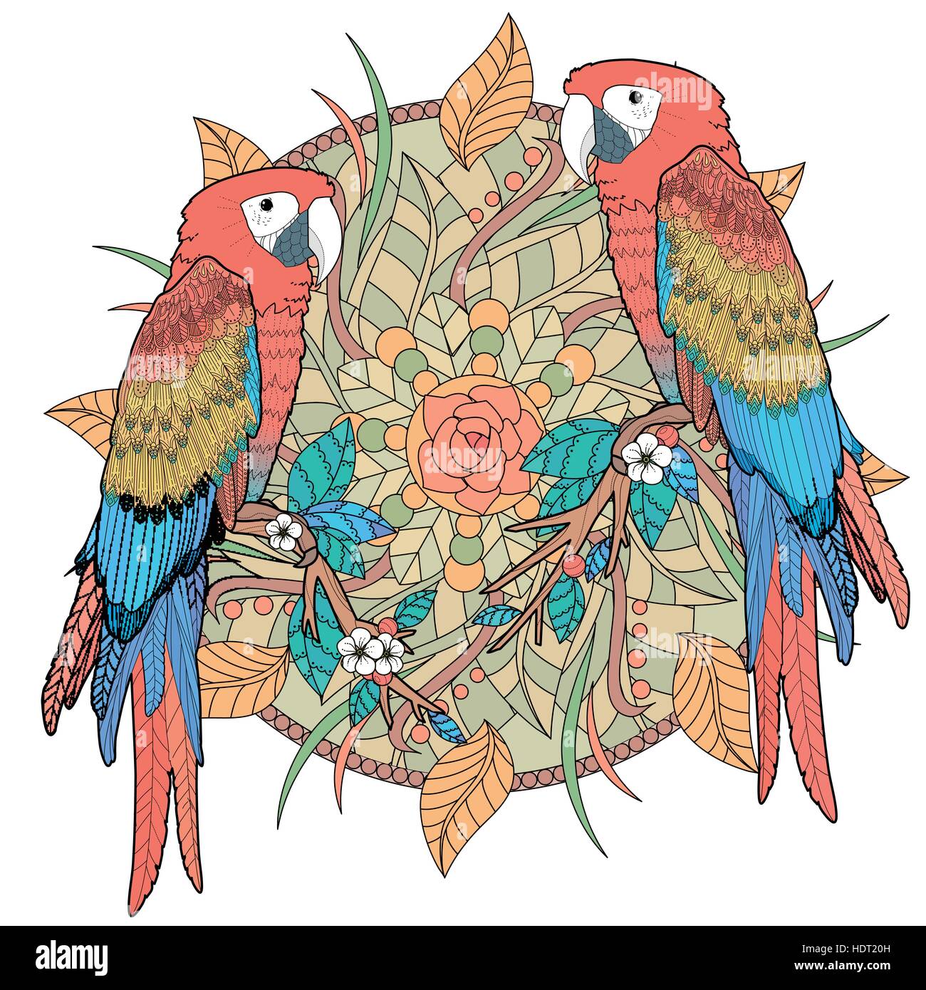 lovely parrot coloring page in exquisite style Stock Vector Image & Art ...