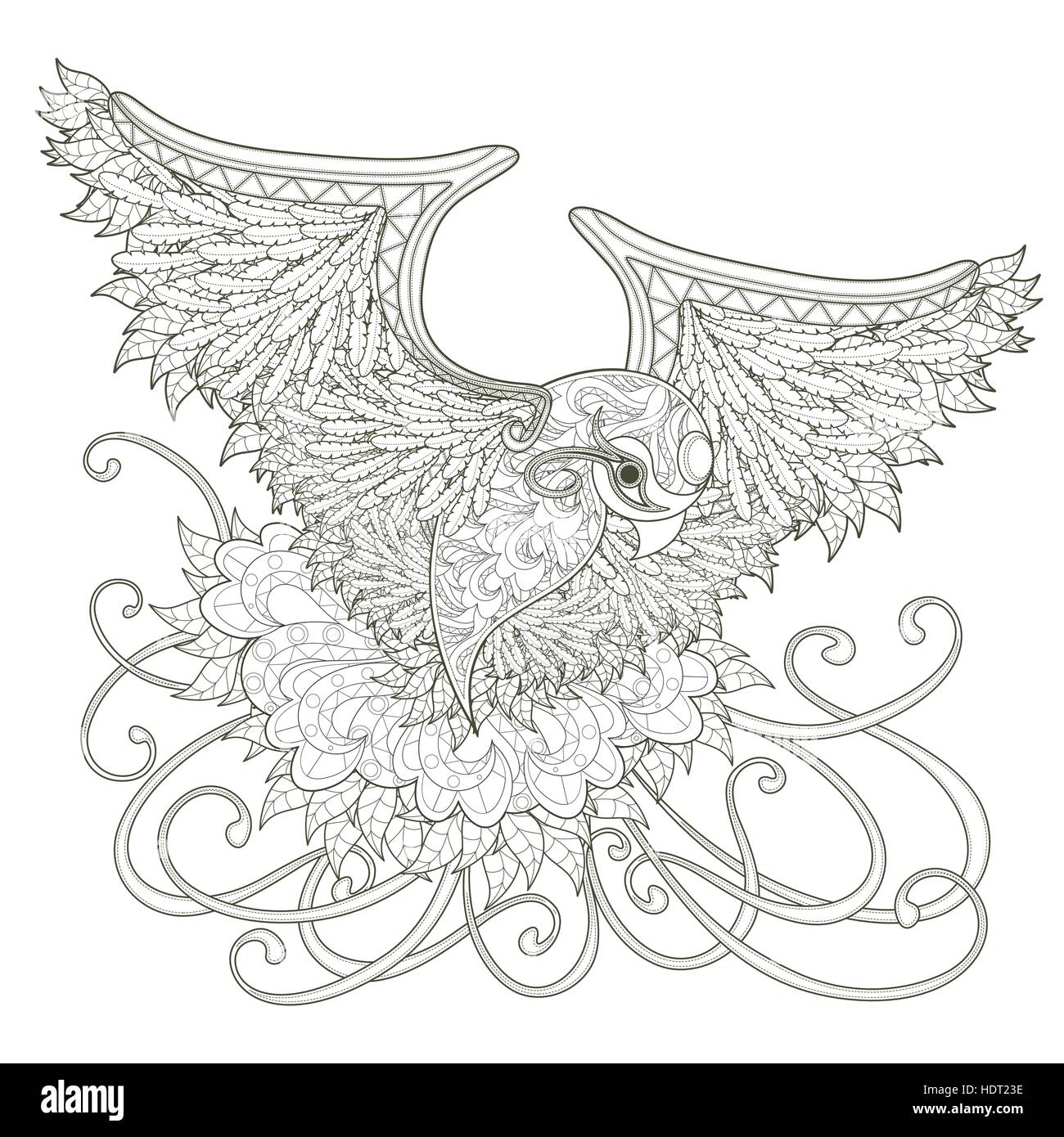 Beautiful flying bird coloring page hi-res stock photography and images ...