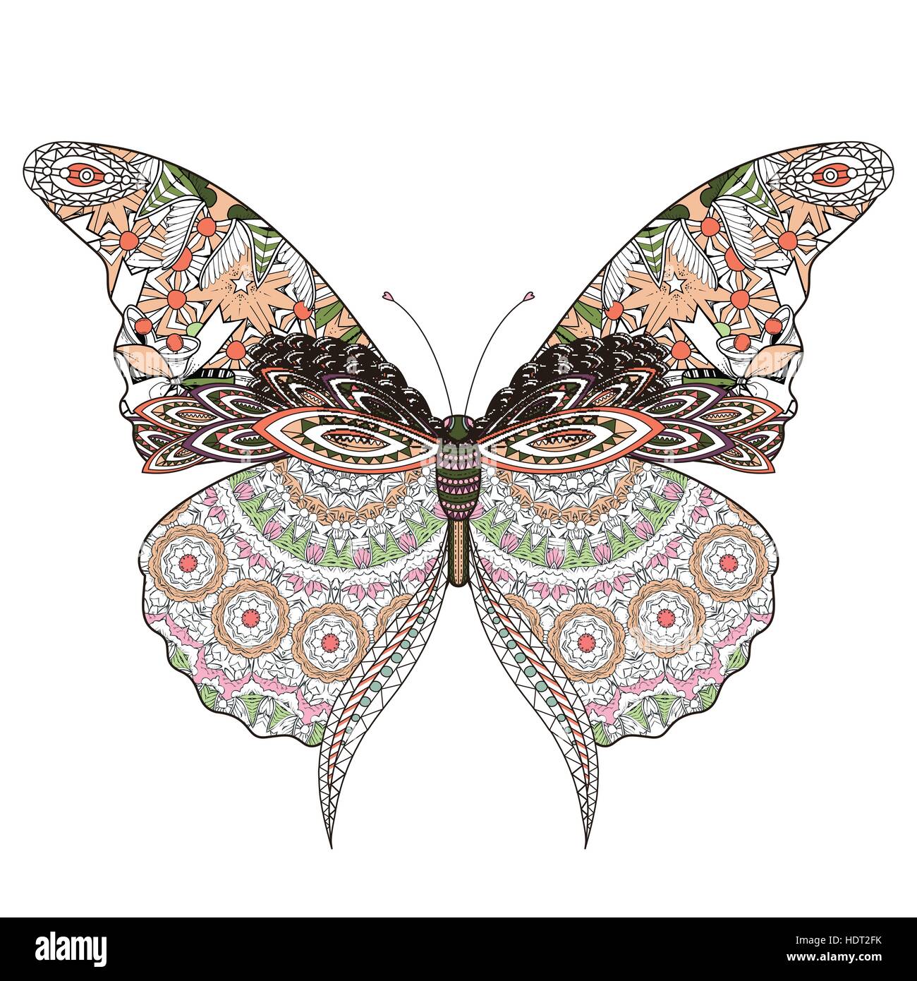 beautiful butterfly coloring page in exquisite line Stock Vector Image ... beautiful butterfly coloring page in exquisite line Stock Vector Image ...