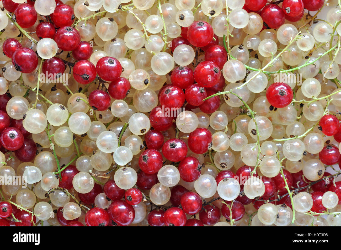 White stack hi-res stock photography and images - Alamy