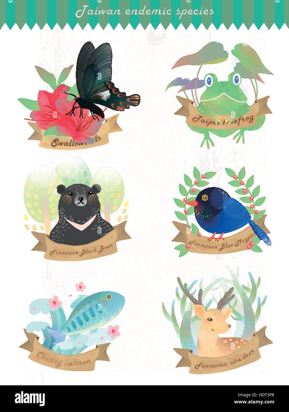 Endemic butterfly Stock Vector Images - Alamy