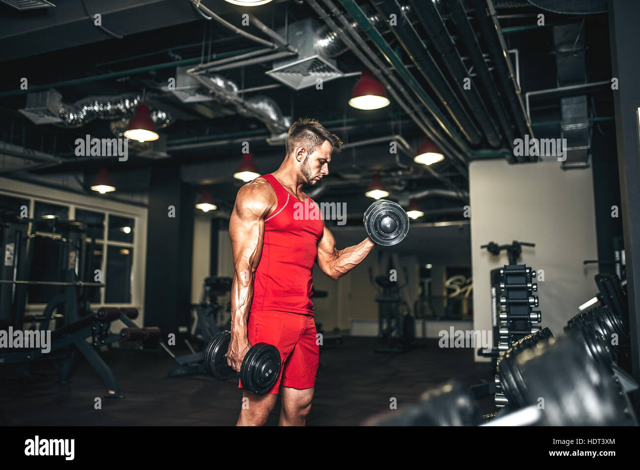Determined bodybuilder lifting heavy black dumbbells at the gym Stock ...
