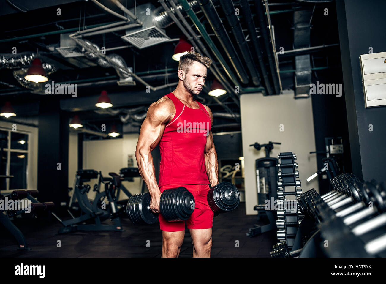 Handsome muscular man is working out and posing at a gym Stock Photo ...