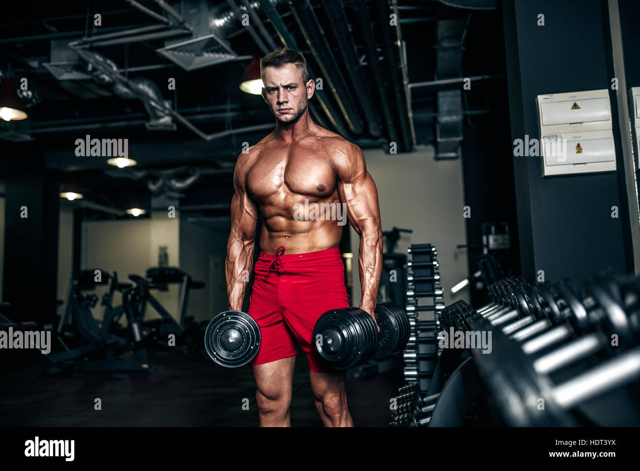 Handsome muscular man is working out and posing at a gym Stock Photo ...