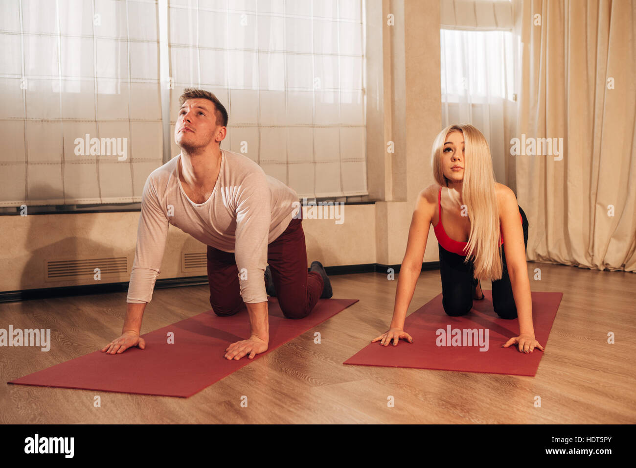 Yoga cat pose hi-res stock photography and images - Alamy