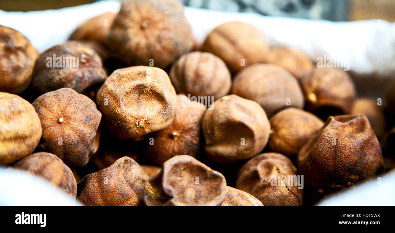 in iran blur typical dry lemon in abstract pattern background flavor ...