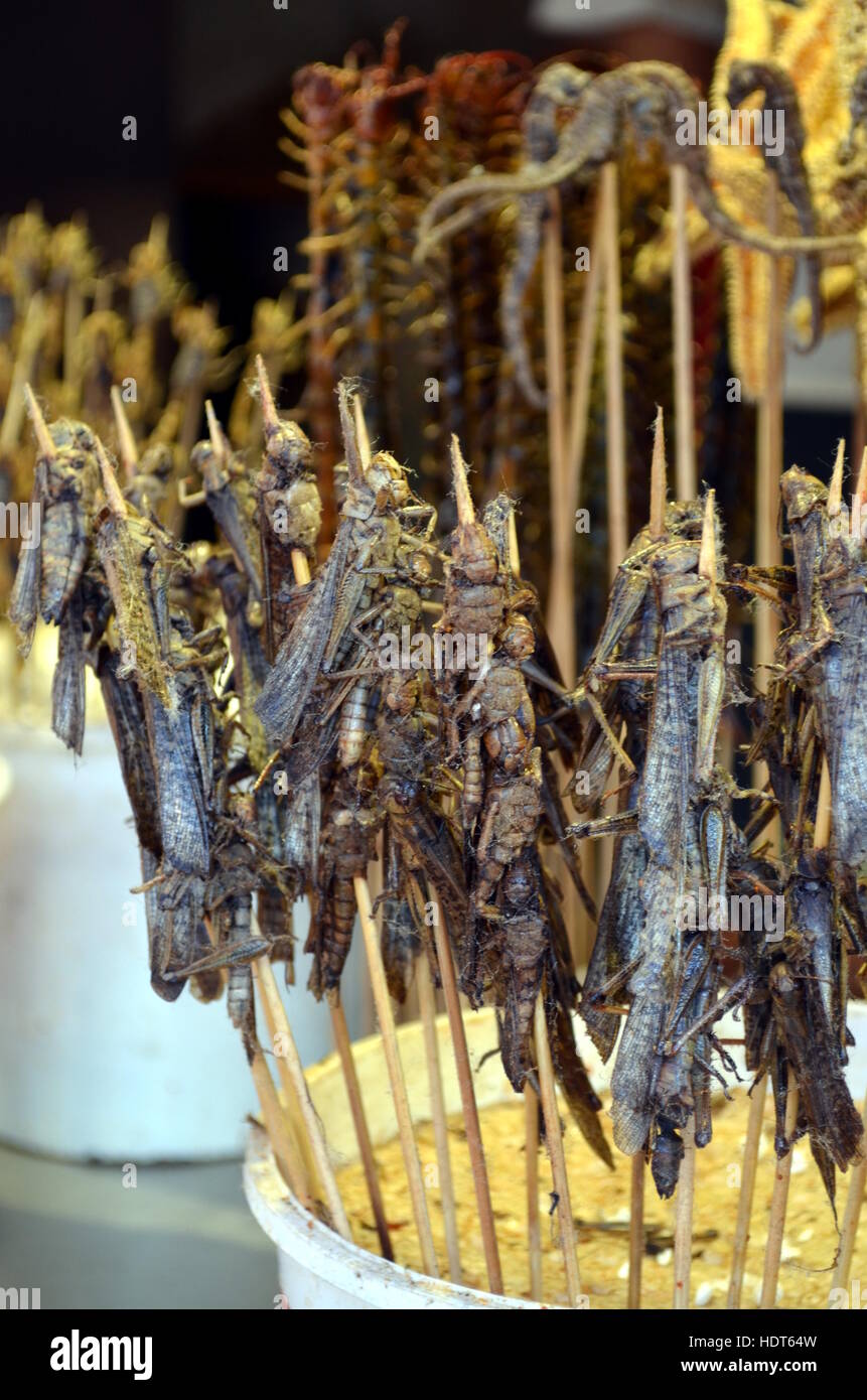Cooked locusts hi-res stock photography and images - Alamy