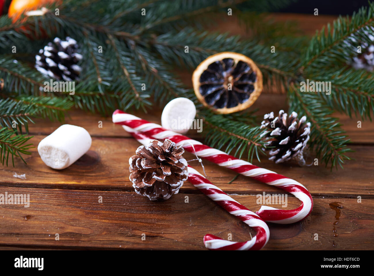 Christmas background of branches and candy canes Stock Photo - Alamy