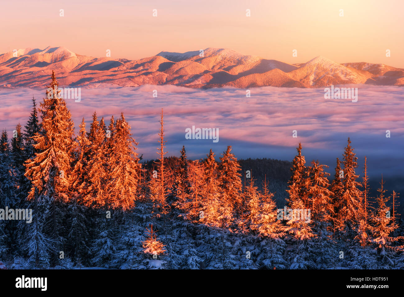 Fantastic orange evening landscape glowing by sunlight. Dramatic wintry ...