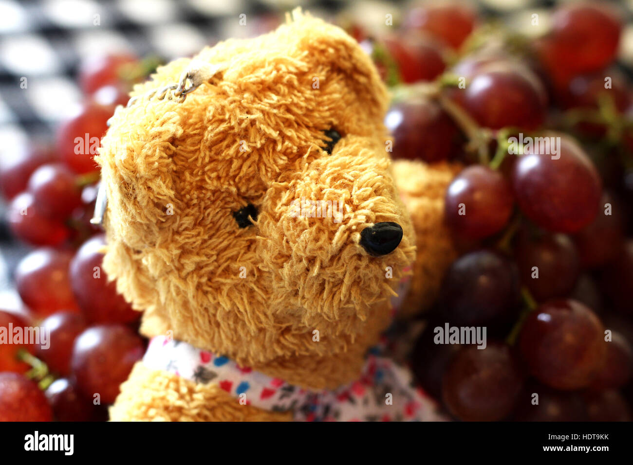 A teddy bear in red grapes Stock Photo - Alamy