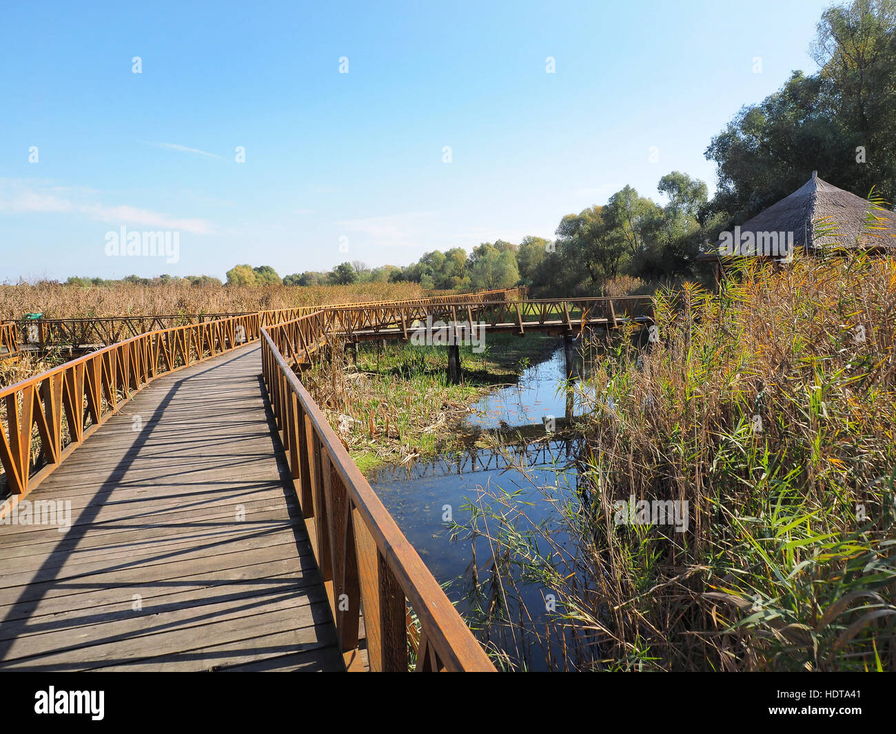 Wooden bridge floor texture beautiful hi-res stock photography and ...