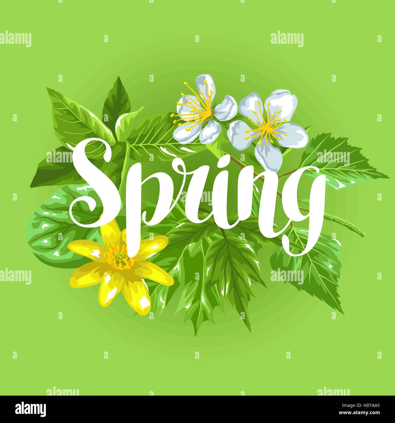 Young flower buds Stock Vector Images - Alamy