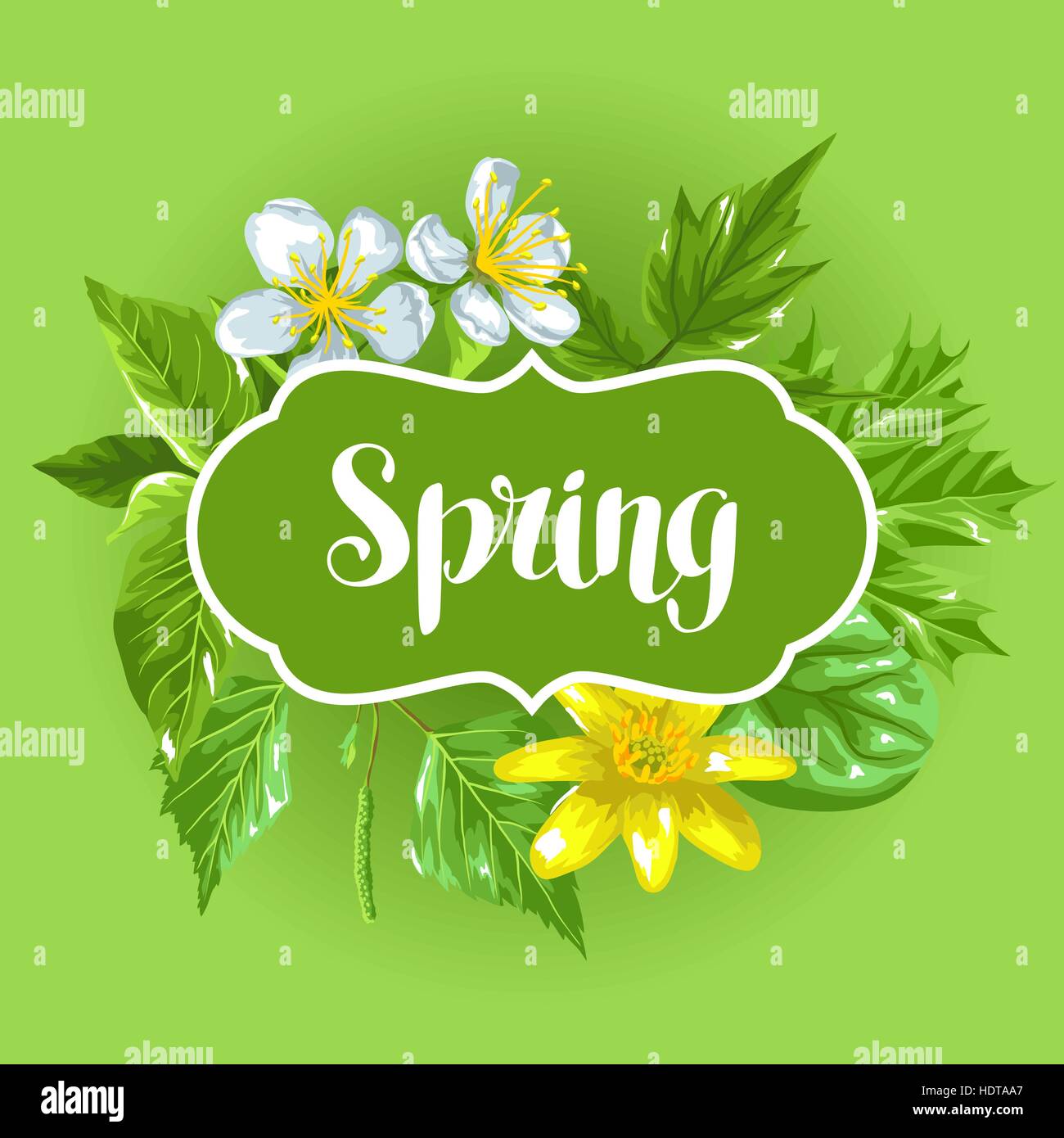 Maple buds Stock Vector Images - Alamy