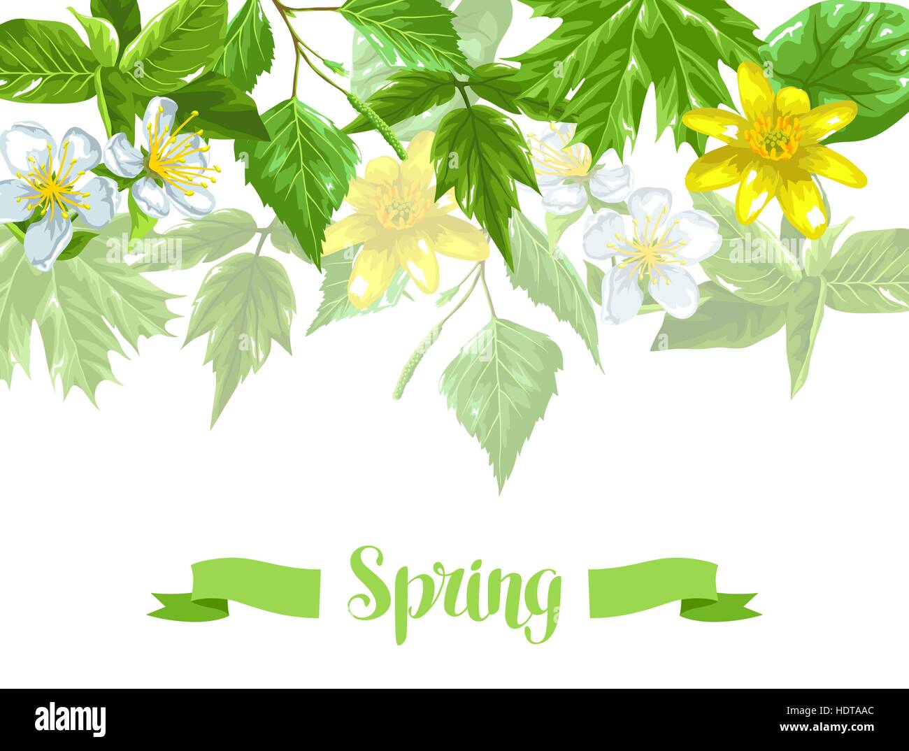 Spring green leaves and flowers. Background with plants twig buds Stock ...