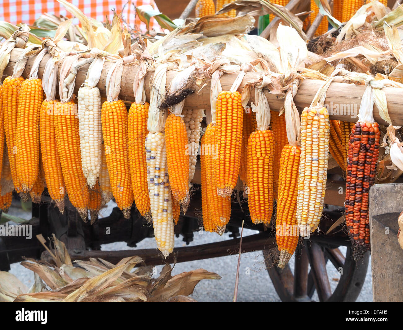 Hanging indian corn hi-res stock photography and images - Alamy