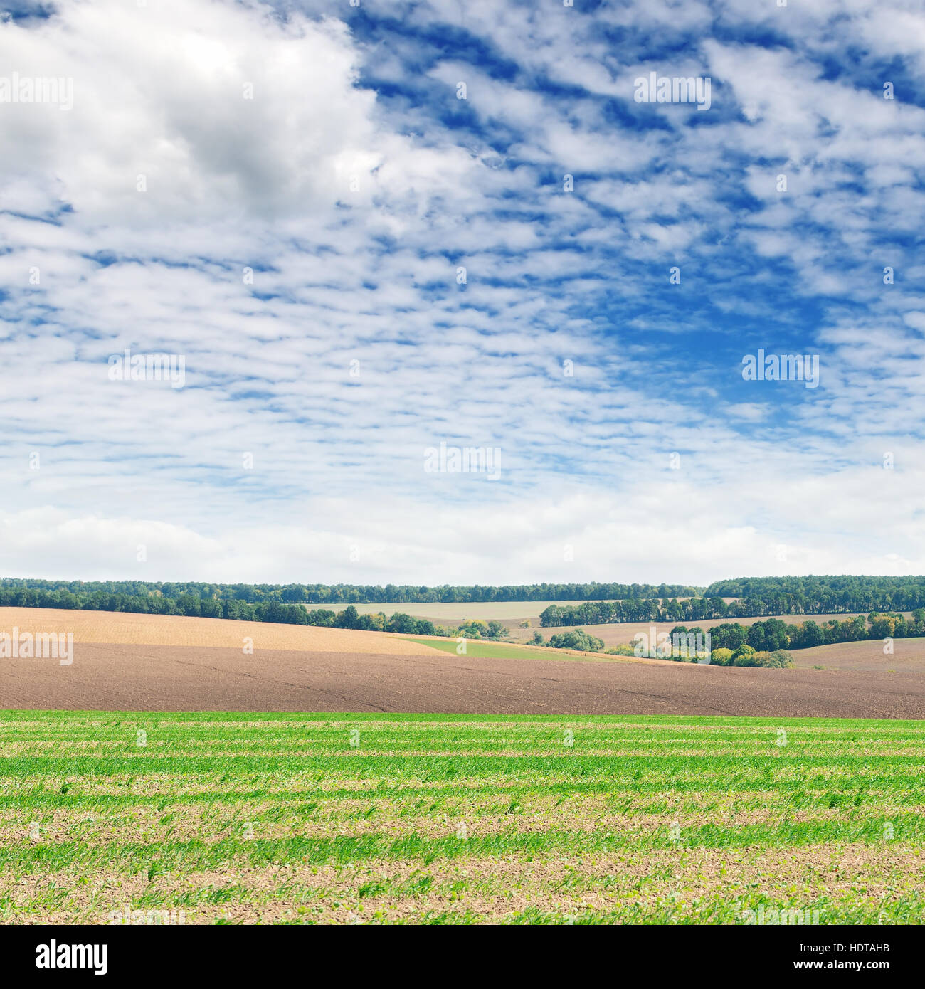 spring field and blue sky Stock Photo - Alamy