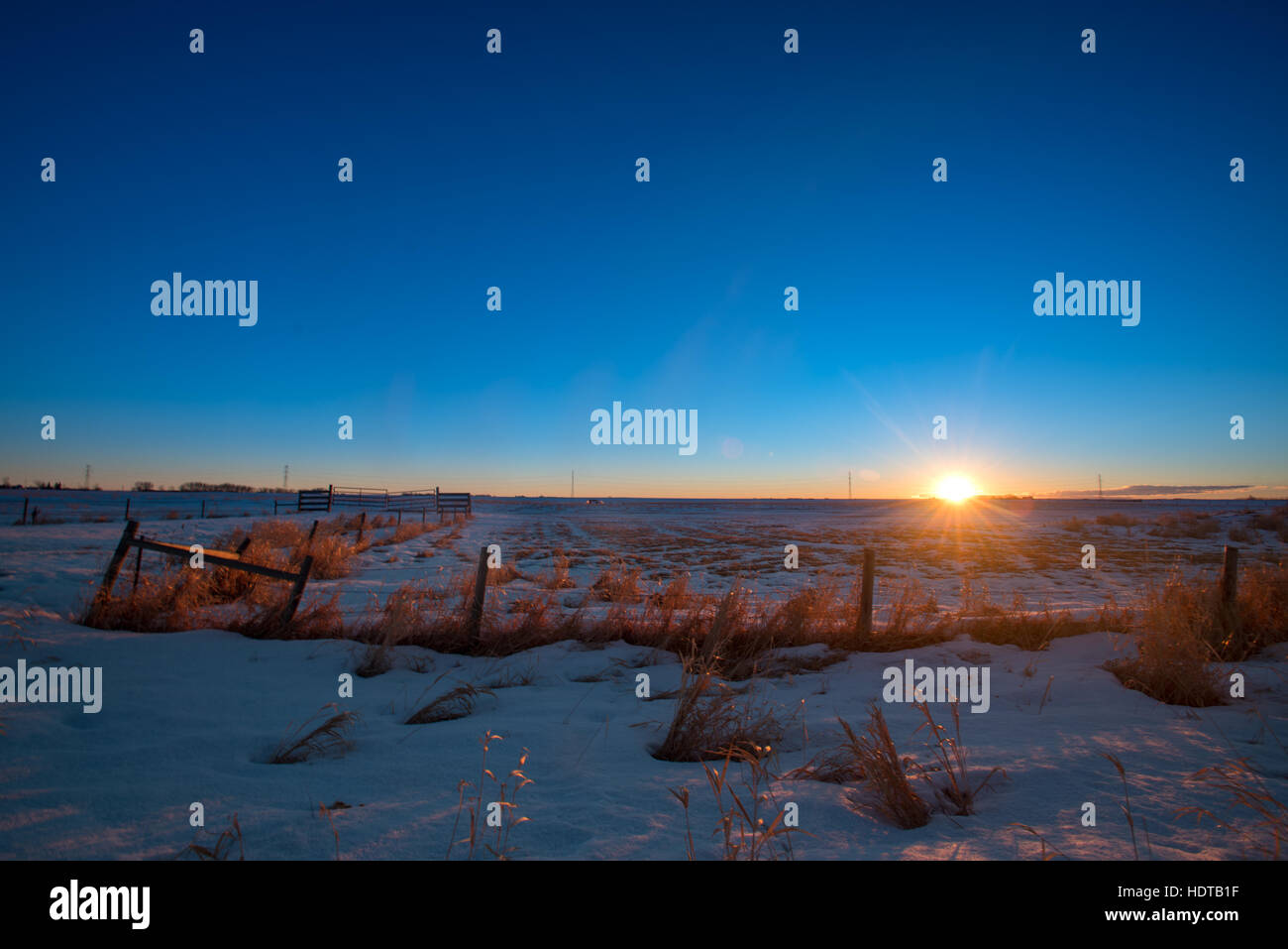 Wheat field snow prairies hi-res stock photography and images - Alamy