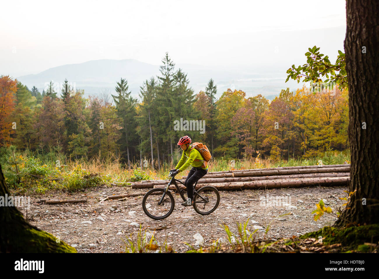 Mountain biker riding on bike in autumn or winter inspirational forest ...