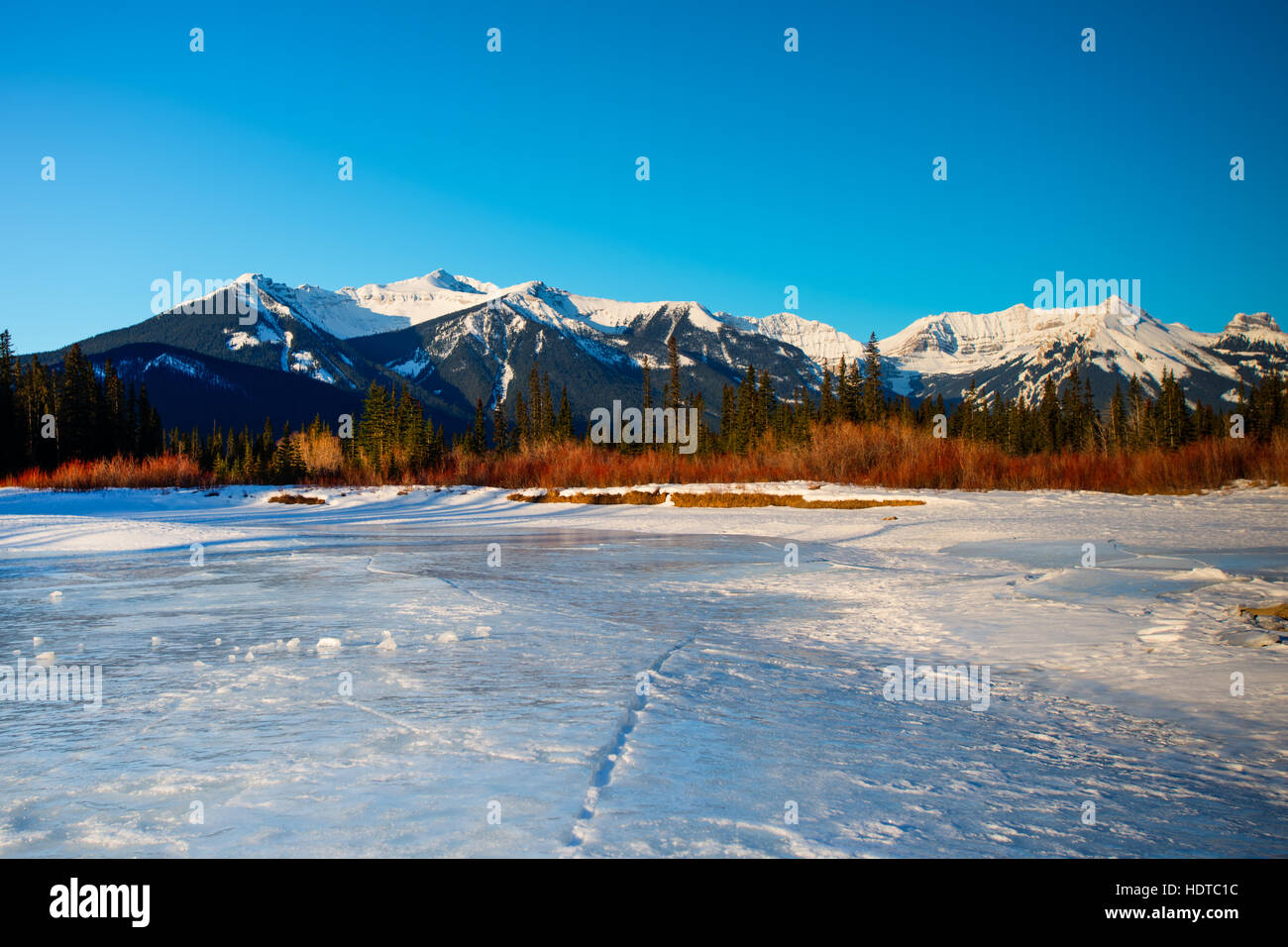 Winter in the mountains Banff National Park Alberta Canada Stock Photo ...