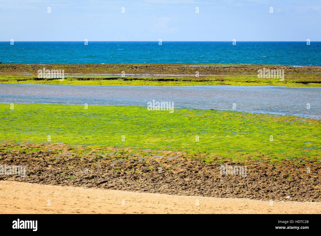 Atlantic ocean during the low tide Stock Photo - Alamy