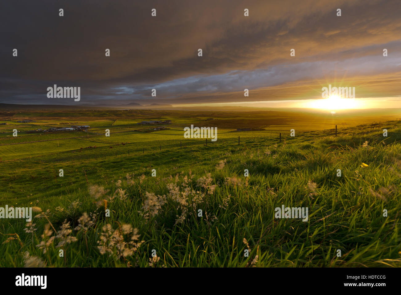 Orkney landscape in glorious evening light Stock Photo - Alamy