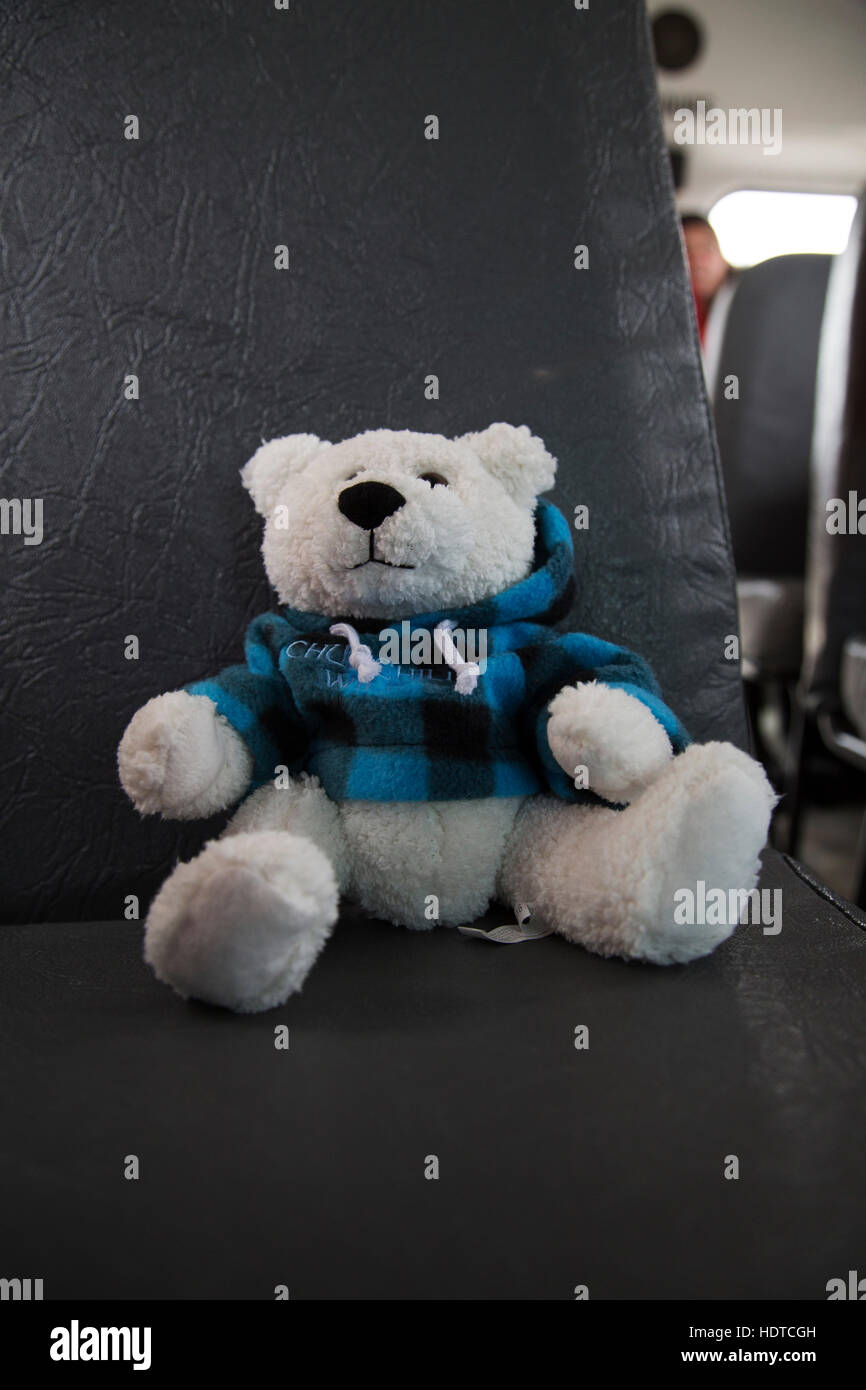 A teddy bear on a bus seat in Churchill, Canada Stock Photo - Alamy