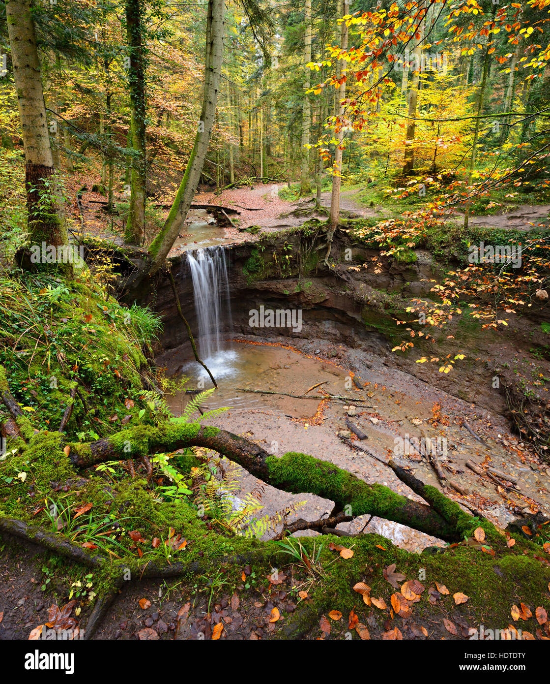 Deciduous forest autumn waterfall hi-res stock photography and images ...
