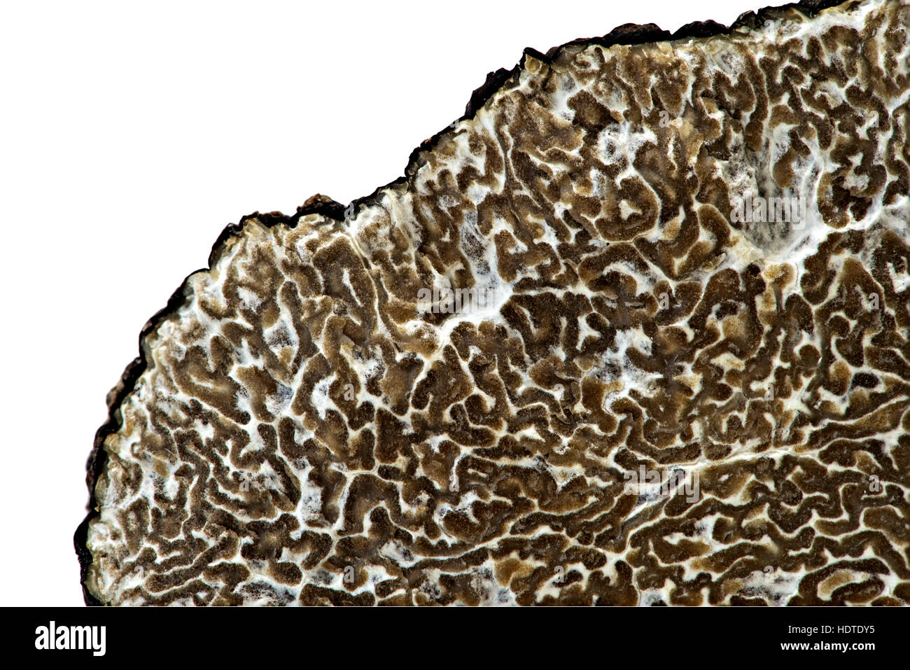 Truffle hi-res stock photography and images - Alamy