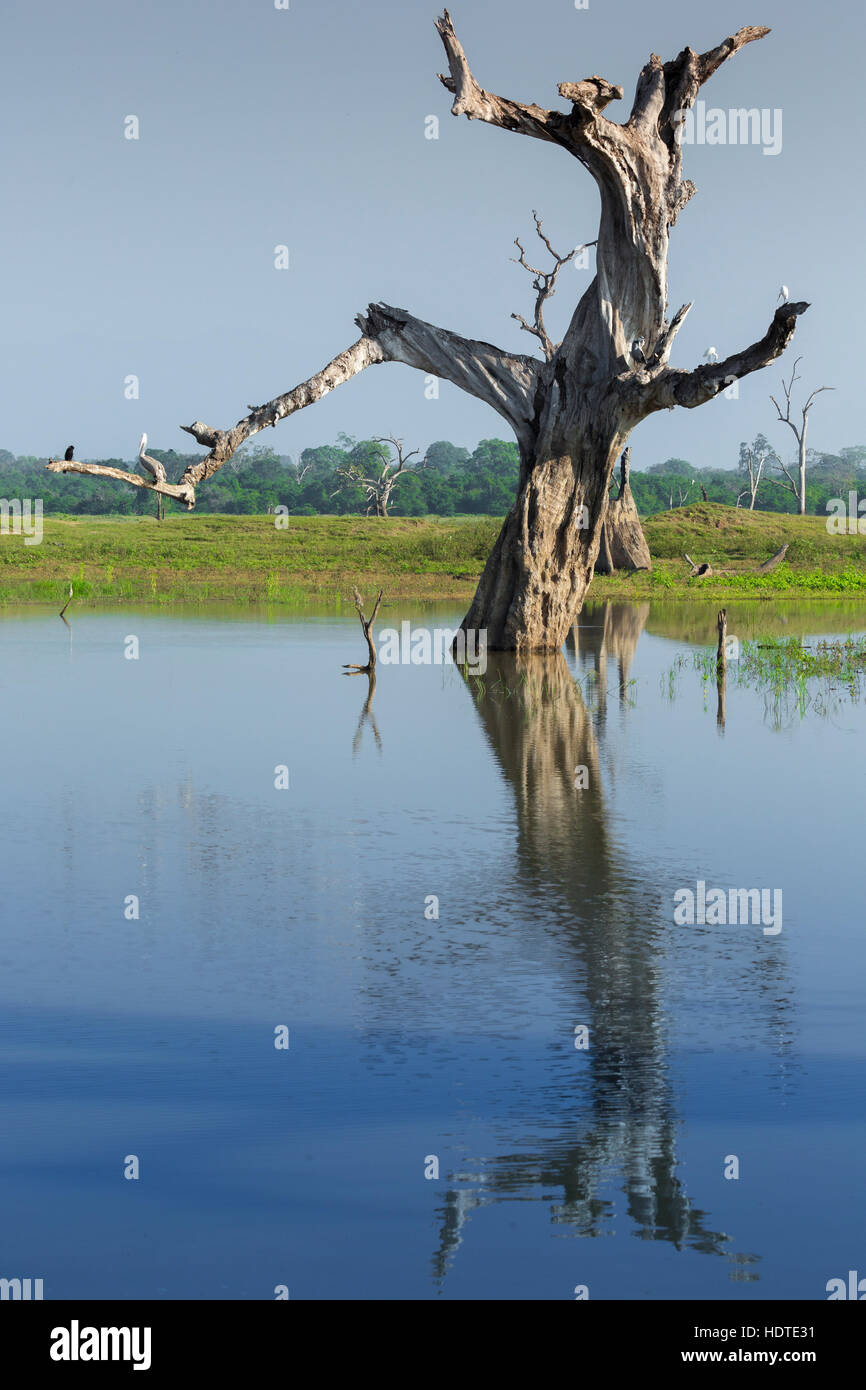 Uda river hi-res stock photography and images - Alamy