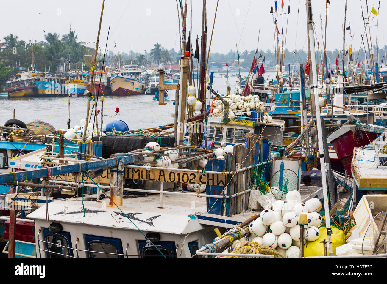 NEGOMBO, SRI LANKA - NOVEMBER 30: Local fishermen and their boats in ...