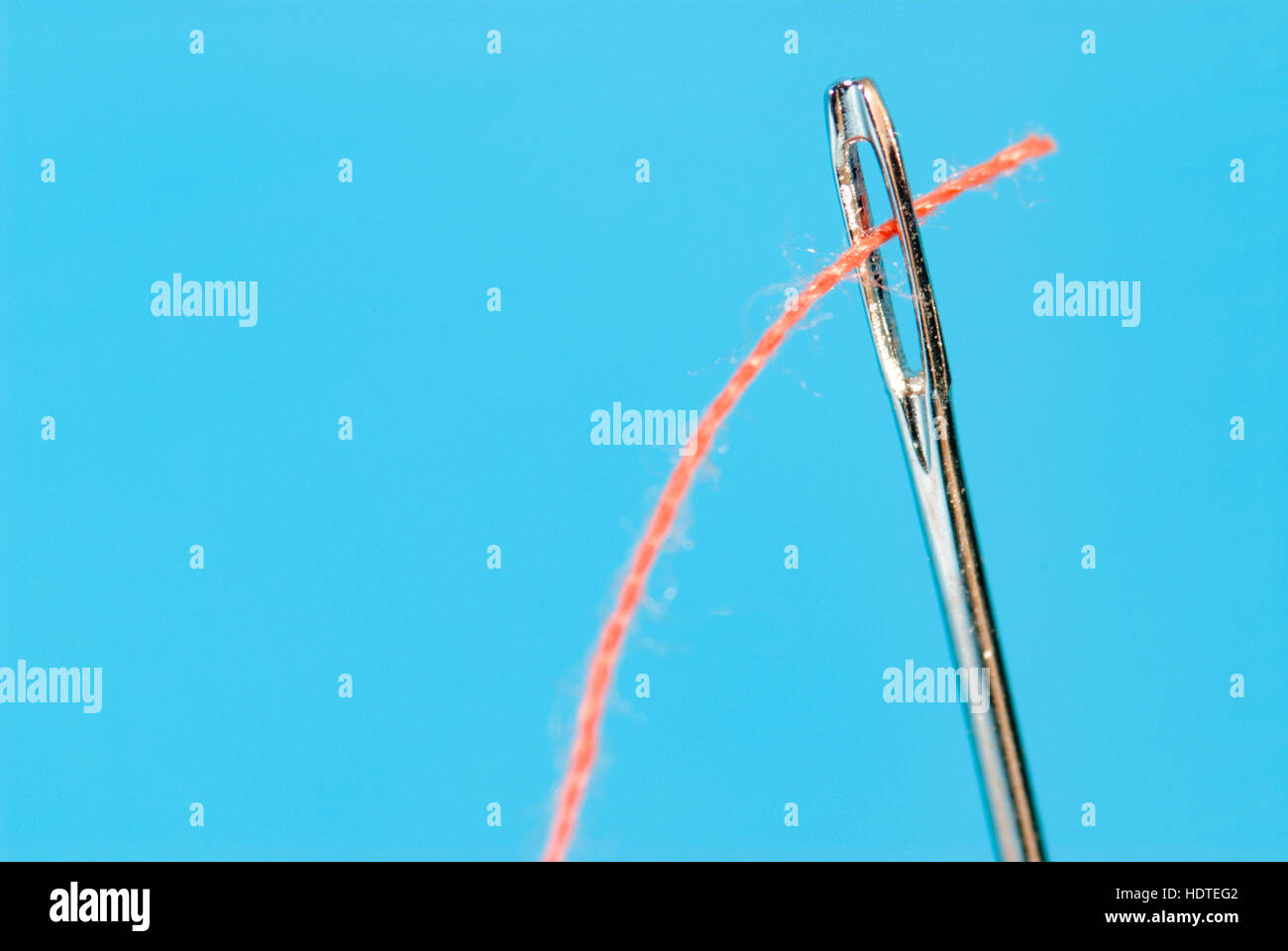 Red thread, being threaded through a needle Stock Photo - Alamy