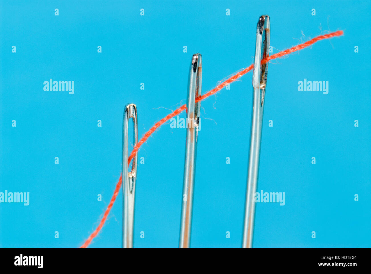 Red thread, being threaded through a needle Stock Photo - Alamy