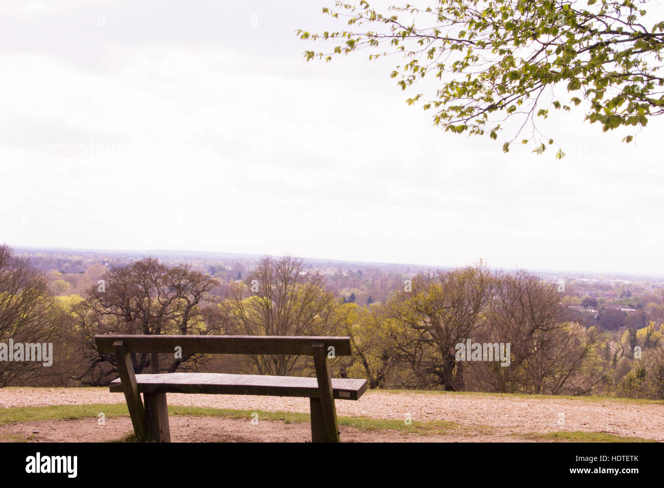A lonely bench in Richmond Park, offering a stunning view over London ...