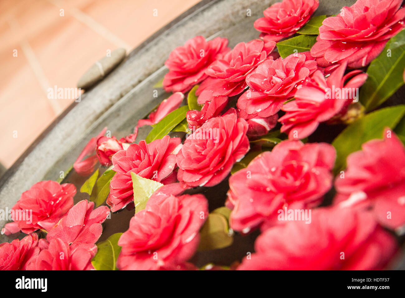 Floating red flowers in a stone basin Stock Photo - Alamy