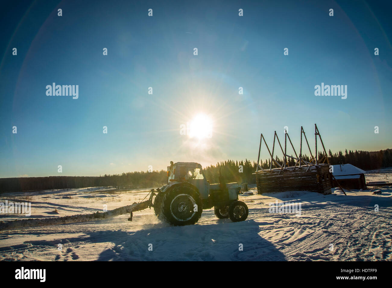 Logging machine hi-res stock photography and images - Alamy