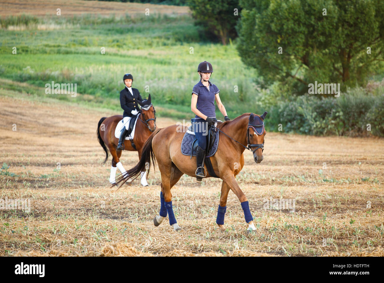 two girls ride horses on the field Stock Photo - Alamy