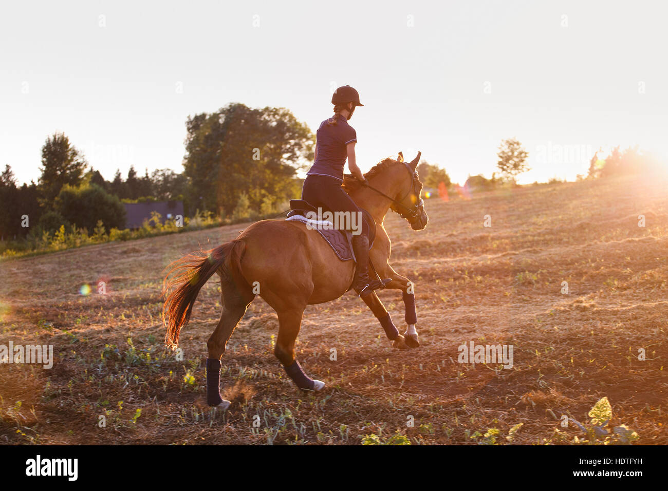 Girl riding horse at sunset Stock Photo - Alamy