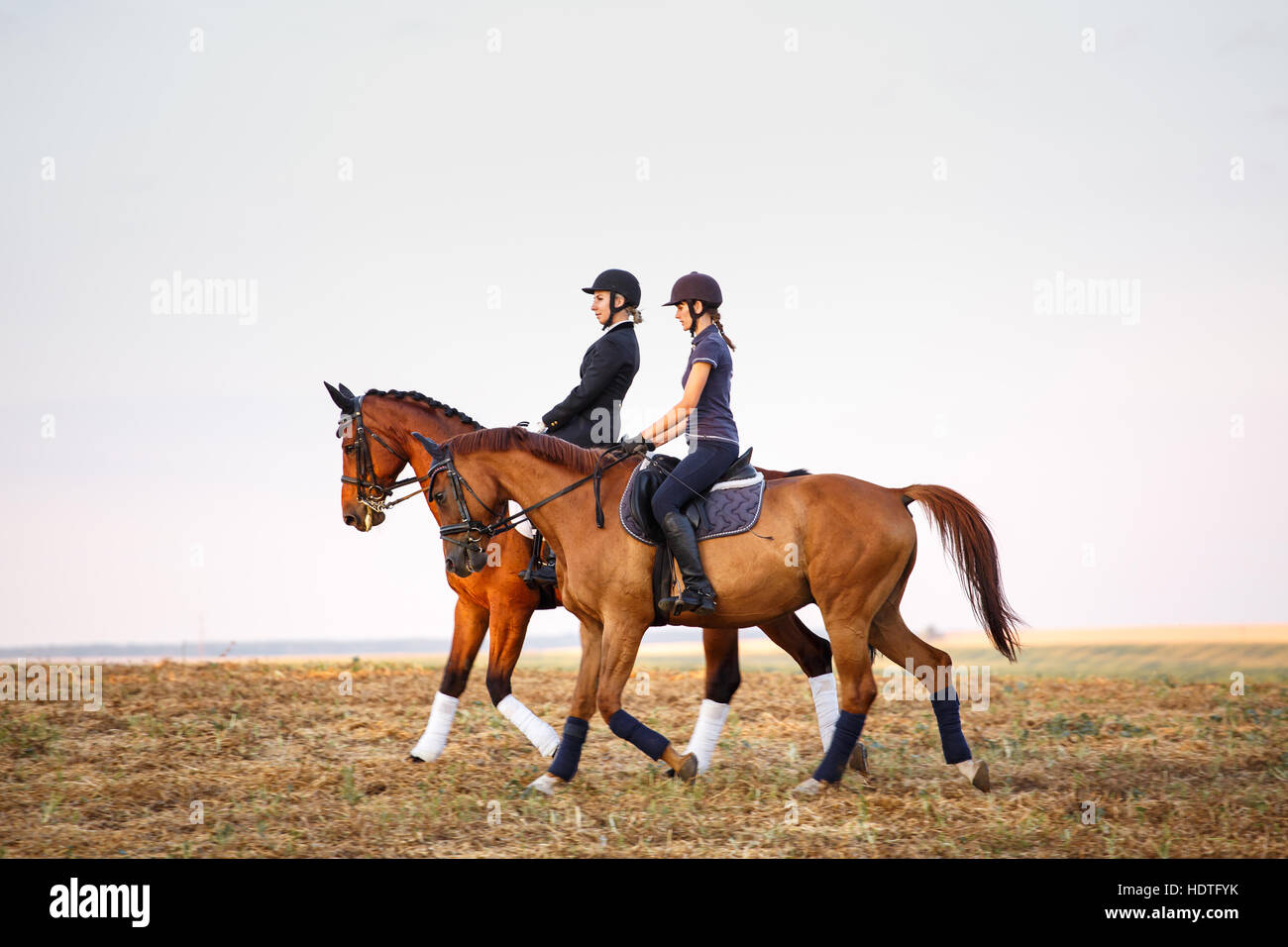 two womans ride horses on the field Stock Photo - Alamy