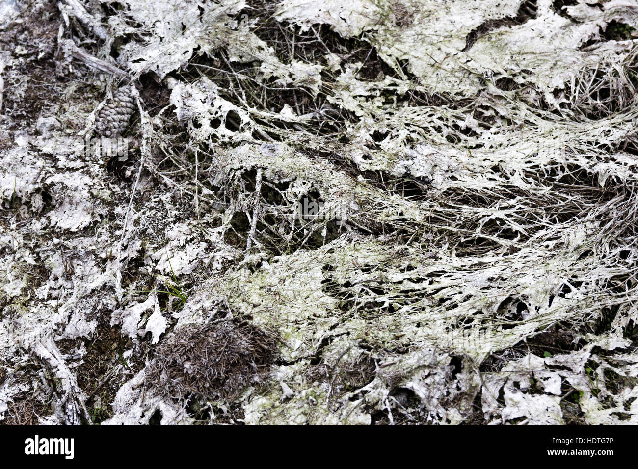 White mud river hi-res stock photography and images - Alamy