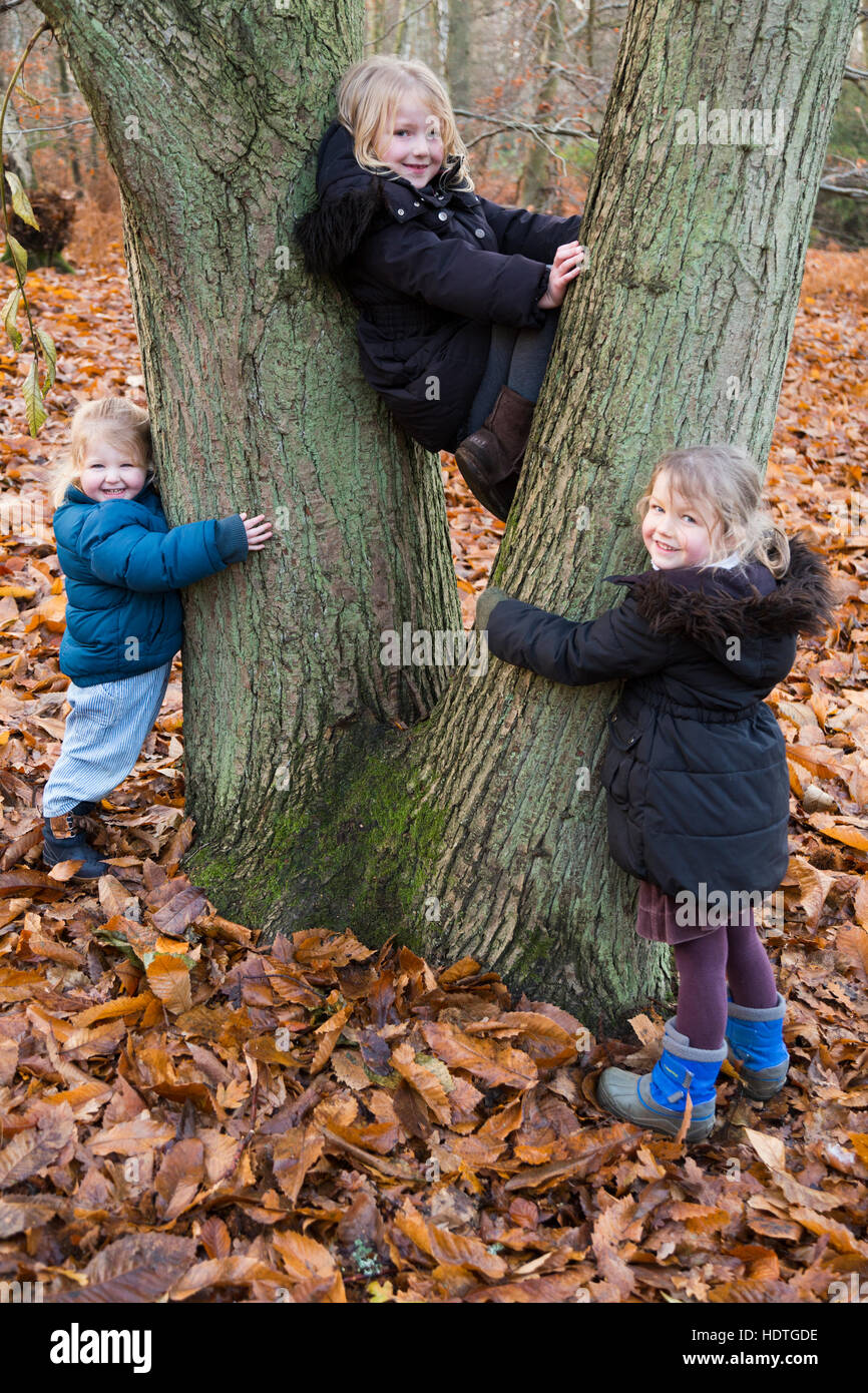 Three sisters: girls age 2 6 4 years (two, six & four year old) hold ...