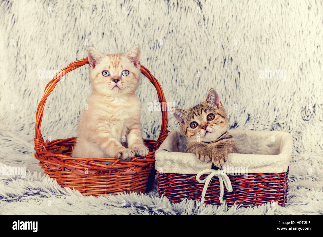 Two baskets basket hi-res stock photography and images - Alamy